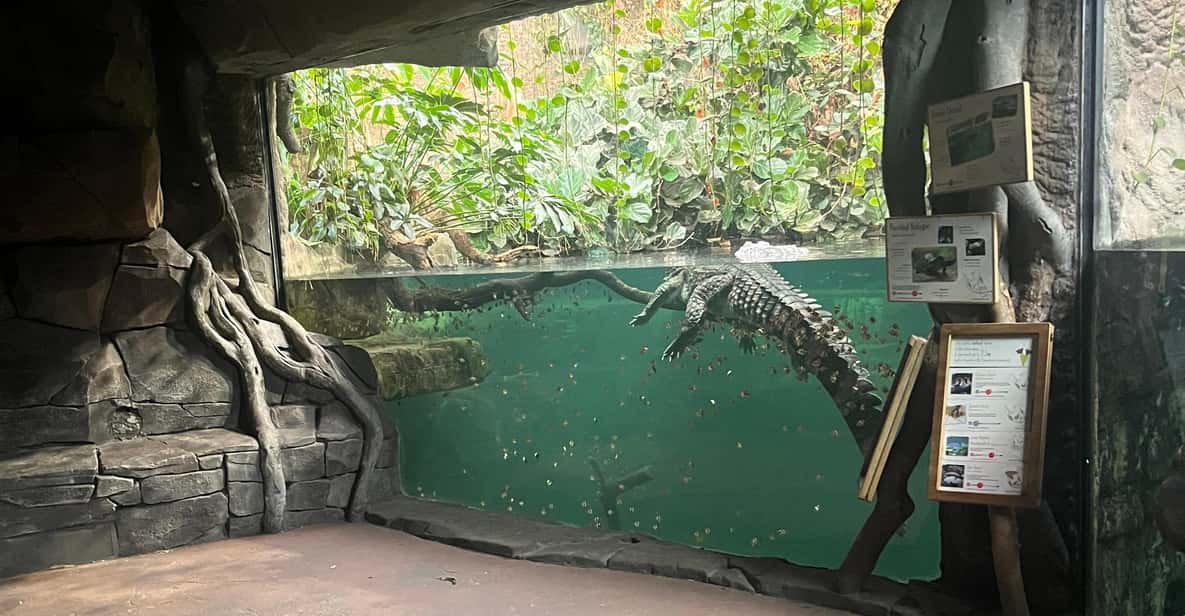 Chester: Chester Zoo Entry Ticket | GetYourGuide