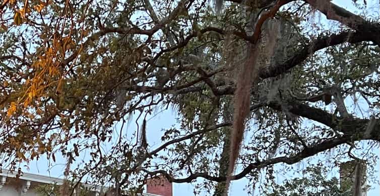 Savannah: Ghosts, Asylums, Voodoo, and Horror Walking Tour | GetYourGuide
