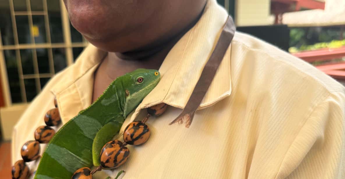 Discover Fijian Culture and Reptiles | GetYourGuide