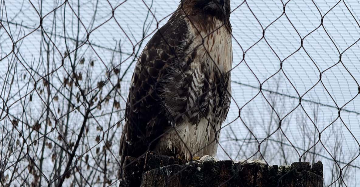 Montreal: Ecomuseum Zoo Entry Ticket | GetYourGuide