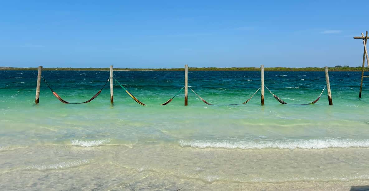 ジェリコアコアラ発：プレアビーチとパラダイスラグーンツアー | GetYourGuide