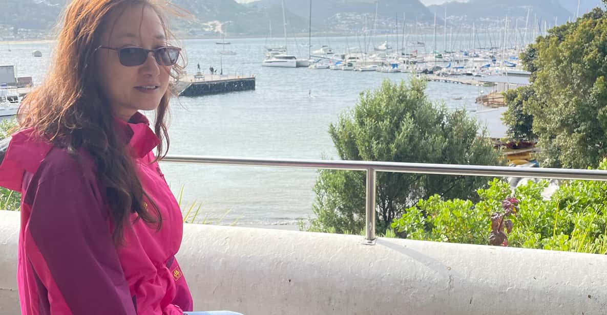 Cape Town: Cape of Good Hope, Seals and Penguins Day Tour | GetYourGuide