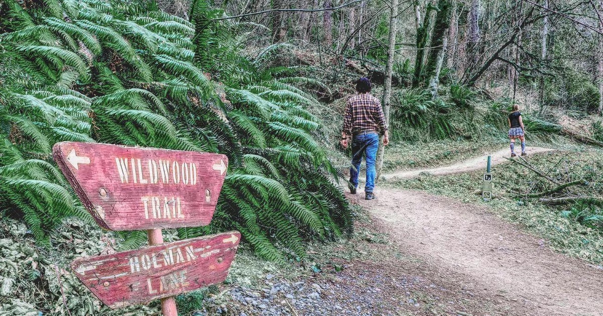 Portland: Geführte Wanderung durch den Forest Park mit dem Hexen ...