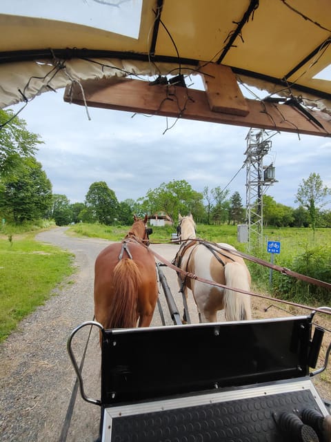 Wild Spring Ranch: Rakovica, Croatia, Horse Riding | GetYourGuide