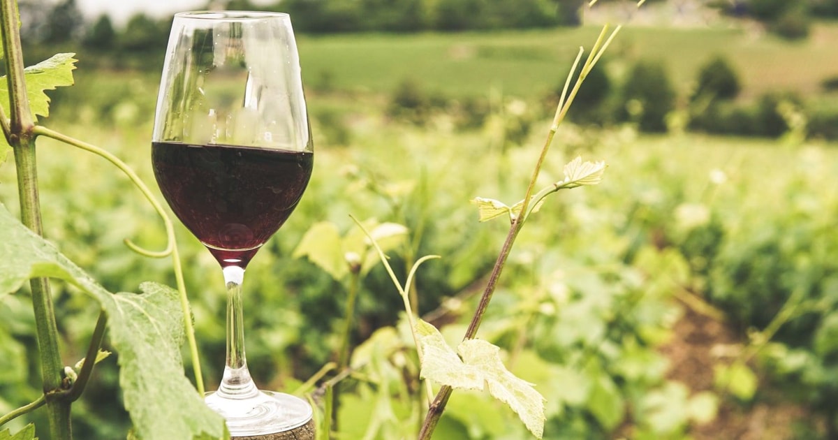 Gozo Wine and Food Tasting | GetYourGuide