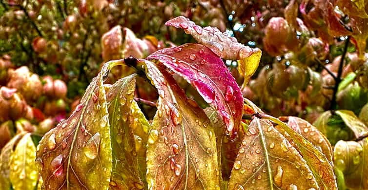 Ketchikan Photo Safari | GetYourGuide