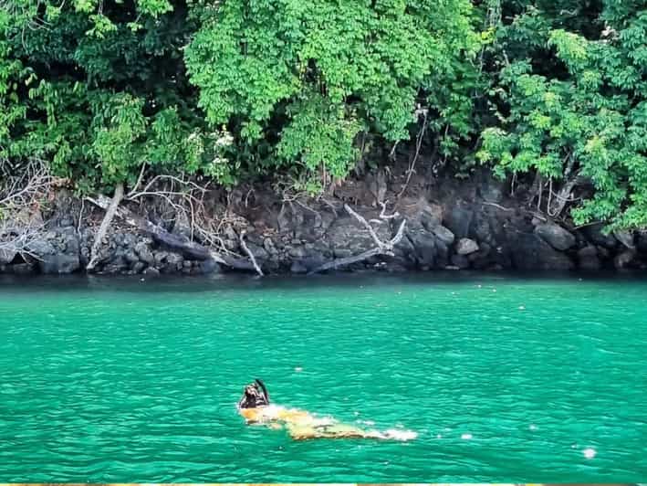 Golfo Dulce: Explore Coral Reefs on our Snorkeling Tour | GetYourGuide