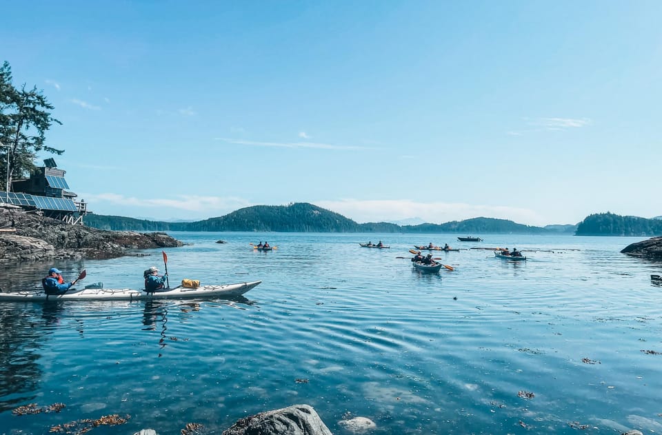 Telegraph Cove: 2 Hour Family Fun Kayaking Tour | GetYourGuide