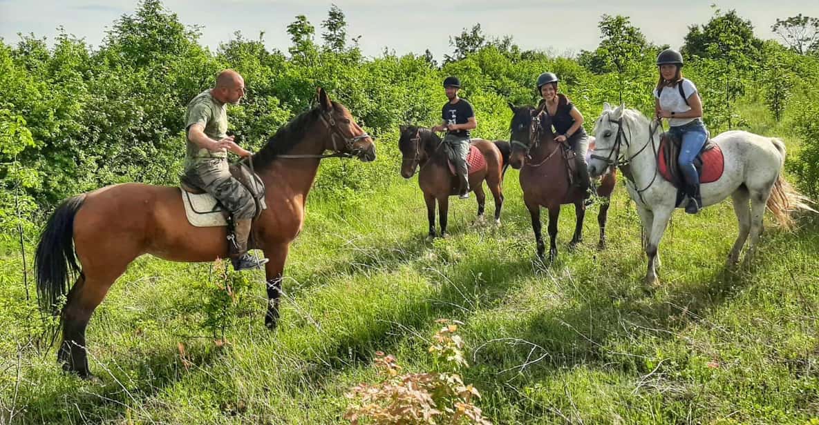 From Belgade: Mtn. Kosmaj Horse riding & hike Full-Day Tour | GetYourGuide