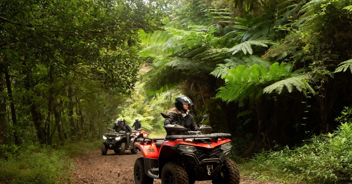 Madeira: Aventura Off-Road de ATV ou Quad - Adrenalina | GetYourGuide