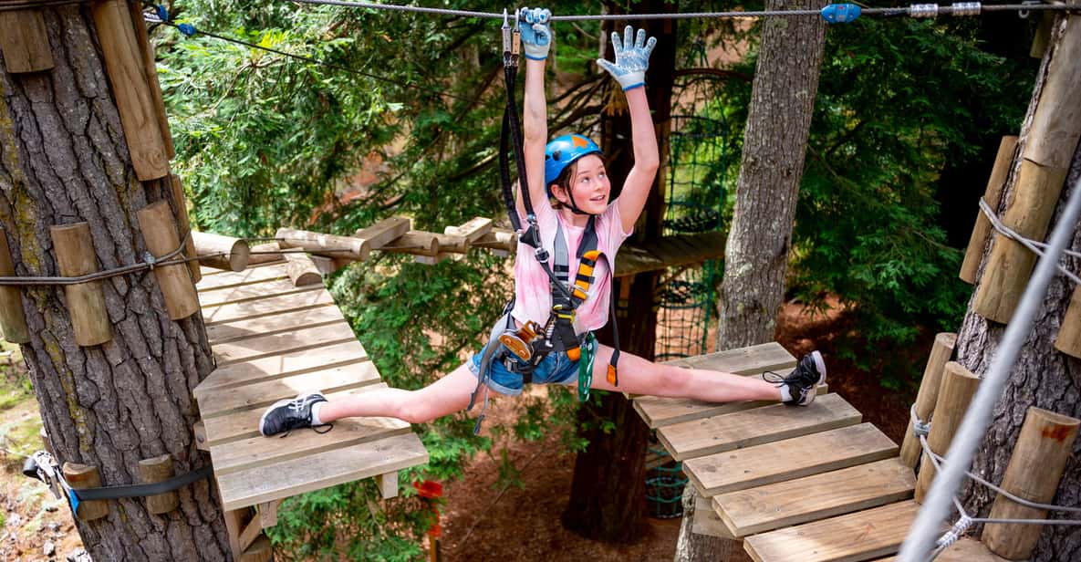 Launceston: Hollybank Tree Ropes Course | GetYourGuide