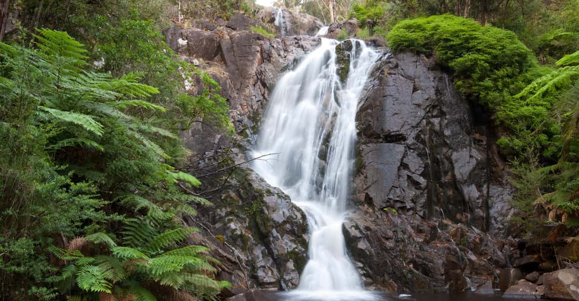 Melbourne: Tur privat la Lacul Mountain Snow & Redwood Forest Tours ...