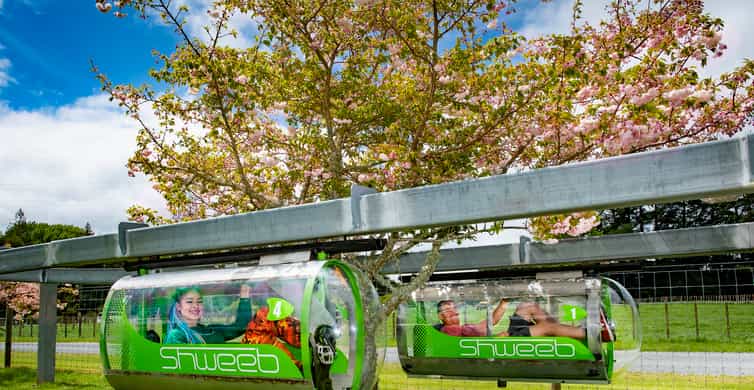 Rotorua: Velocity Valley Adventure Park Experience Pass | GetYourGuide