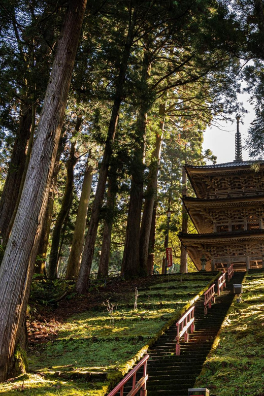 Kanazawa/Toyama: Spring Quartet of Flowers Day Tour | GetYourGuide