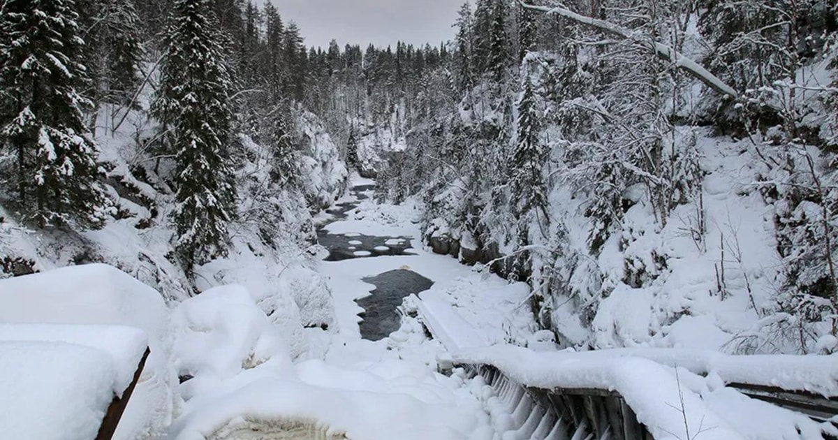 Rovaniemi: East Lapland Loop Journey (Hike, Road-trip & BBQ) | GetYourGuide