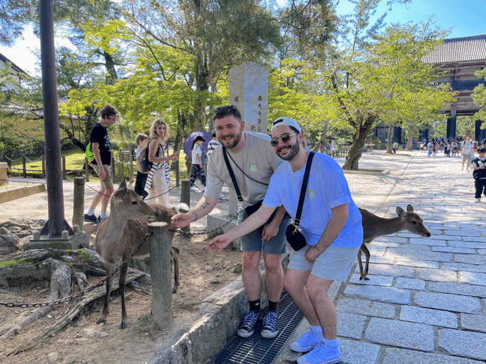 From Kyoto: Nara Guided Morning Tour | GetYourGuide