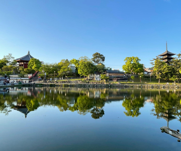 The BEST Things to Do in Nara - Top Activities in 2024 | GetYourGuide