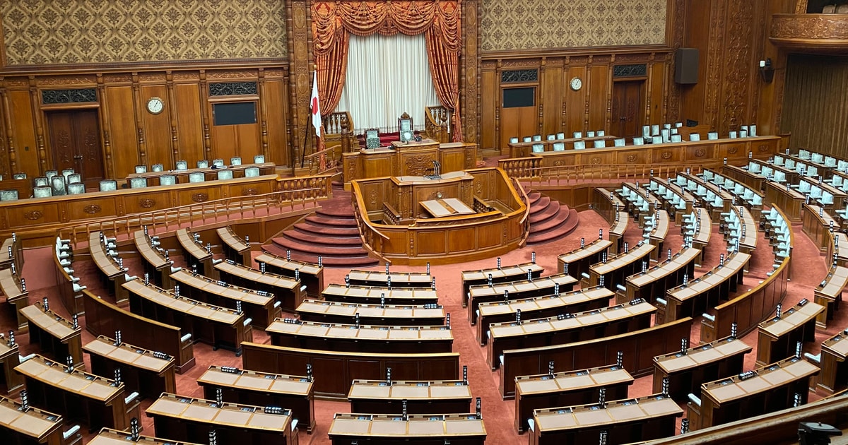 Tameike: Exploring the Heart of Japanese Politics Tour | GetYourGuide