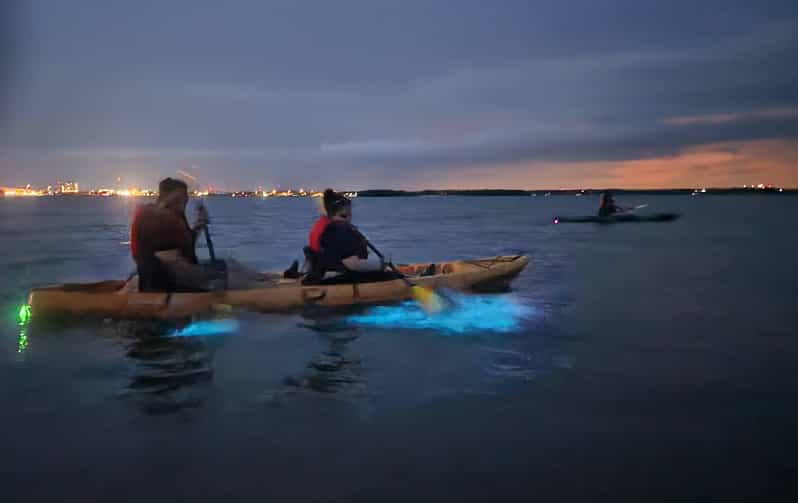 Orlando: Bioluminescence Kayak Adventure | GetYourGuide