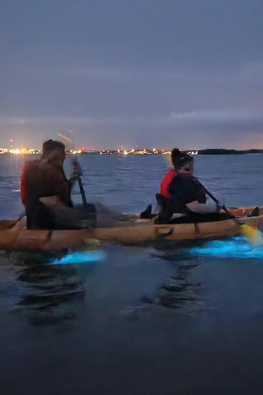 Orlando: Bioluminescence Kayak Adventure | GetYourGuide