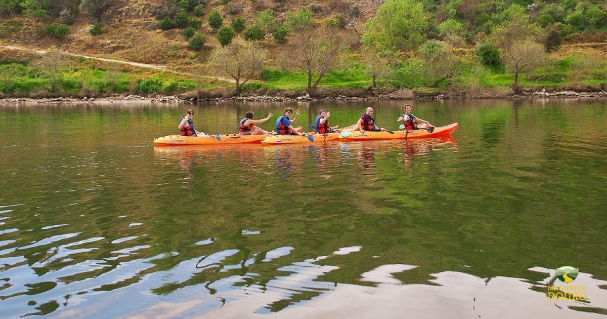 Pinhão: 4 Hour Douro Valley Kayak Rental | GetYourGuide