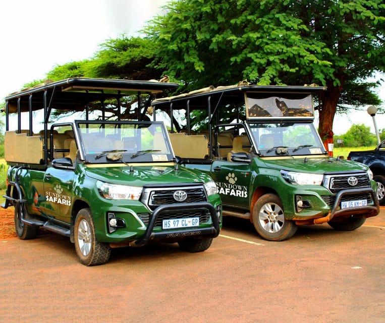 Pilanesberg Morning or Afternoon 3 Hour Game Drive | GetYourGuide