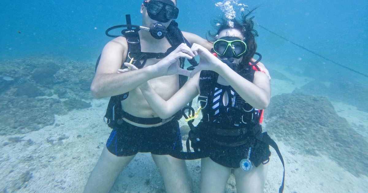 From Dubai: Night Snorkeling and Scuba Dive trail with BBQ | GetYourGuide