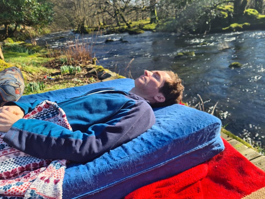 Forest Bathing Full circle experiences | GetYourGuide