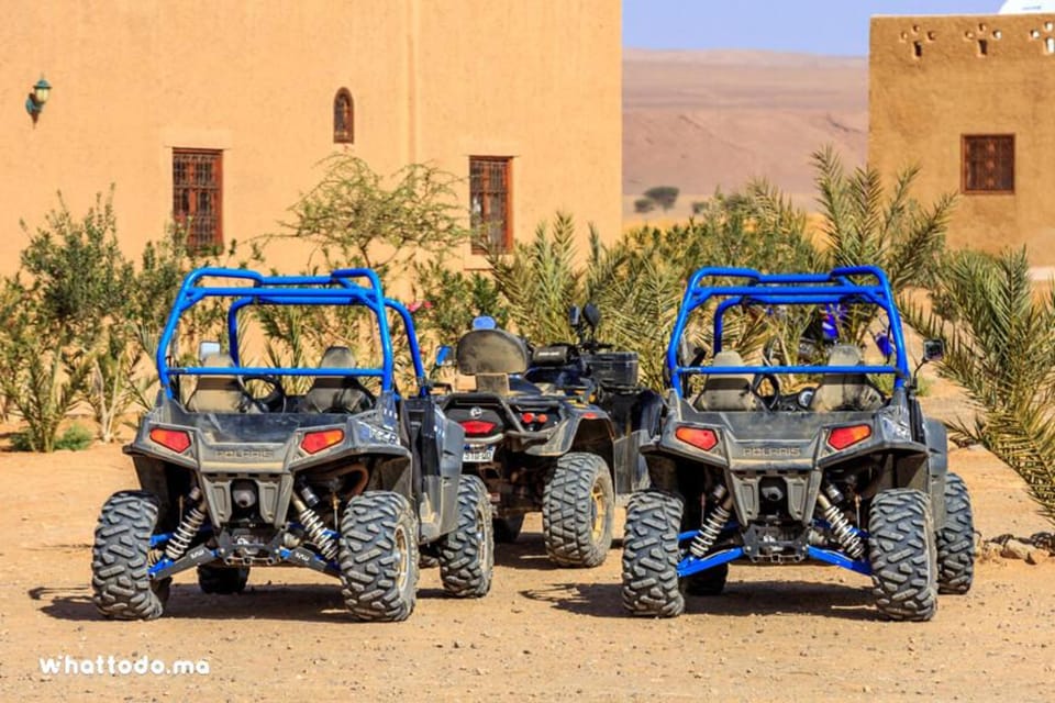 Marrakech: Buggy Desert Drive In the Palm Groves | GetYourGuide