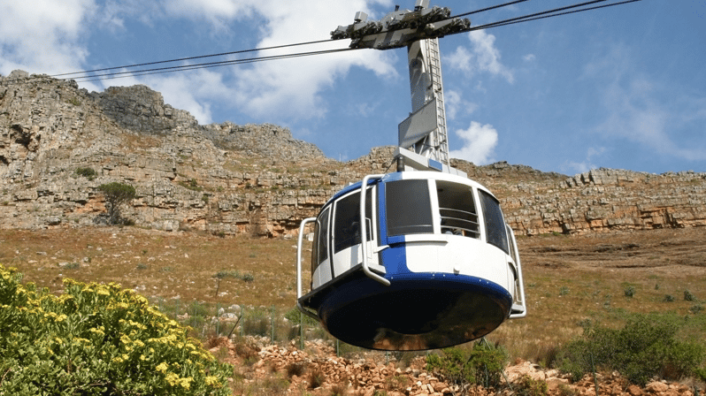 Cape Town Shore Excursion: Table Mountain & Cape Point Tour | GetYourGuide