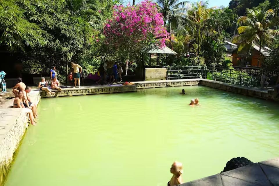 North bali/Lovina: Natural hot spring & Dolphin sunrise tour | GetYourGuide