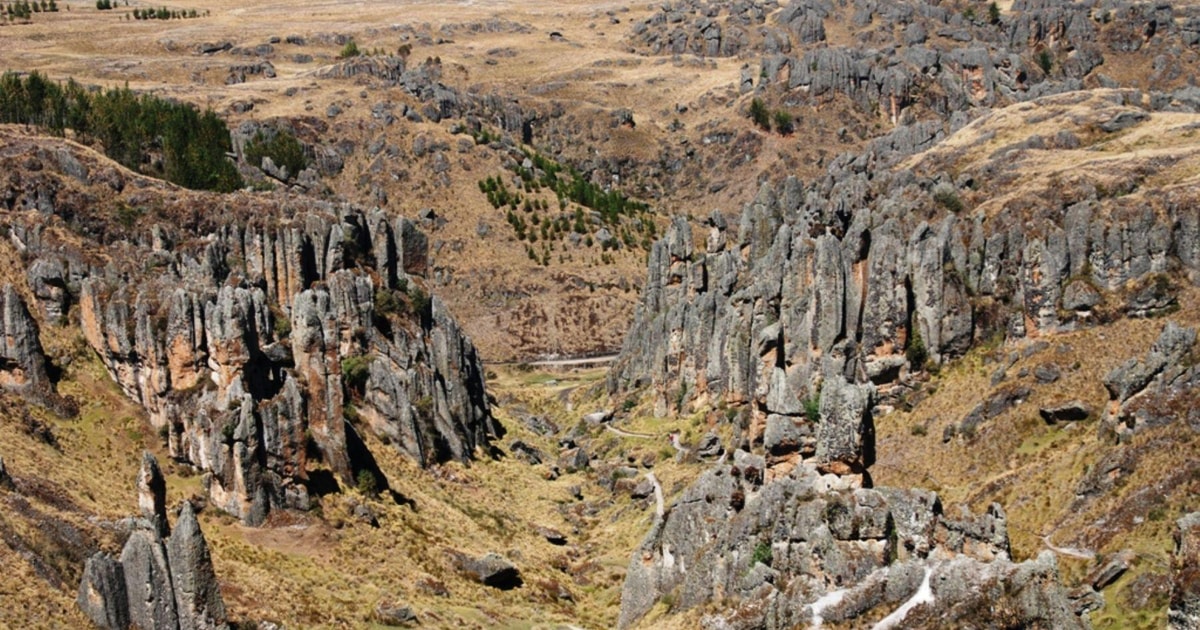 From Cajamarca, Archaeological Complex of Cumbemayo | GetYourGuide