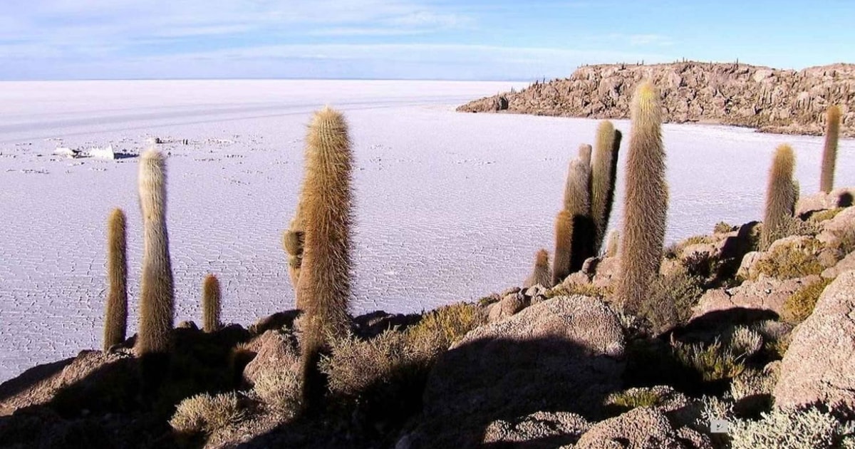 From Puno: 3-Day La Paz, Uyuni, and Aymara Route Tour | GetYourGuide