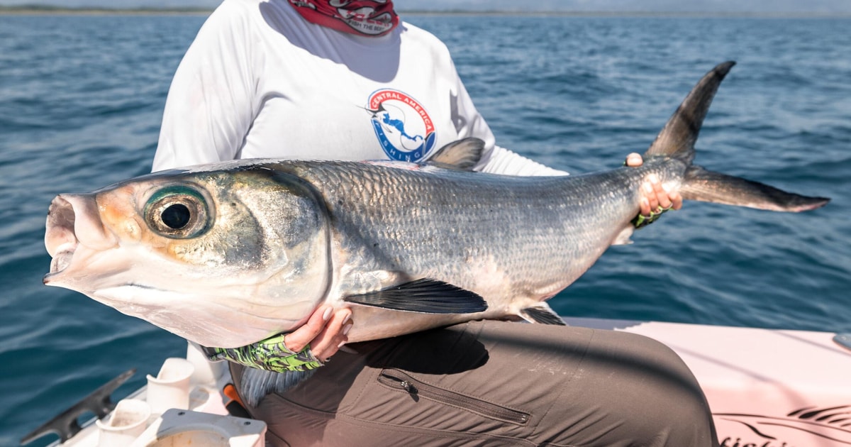 Tortuguero: ECOFISH Tour Artisanal Fishing Community | GetYourGuide