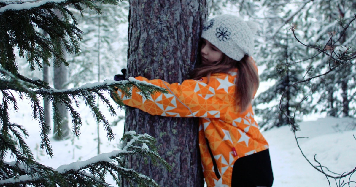 Finlande Levi : Expérience de cocooning en Arctique dans la forêt de ...