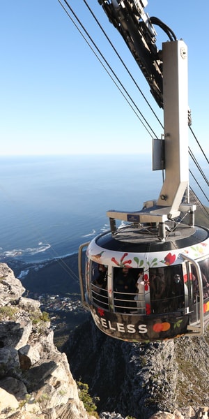 Skip The Line Ticket Table Mountain Cable Car from Cape Town | GetYourGuide