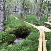 Norway: Experience nature through Sámi eyes | GetYourGuide