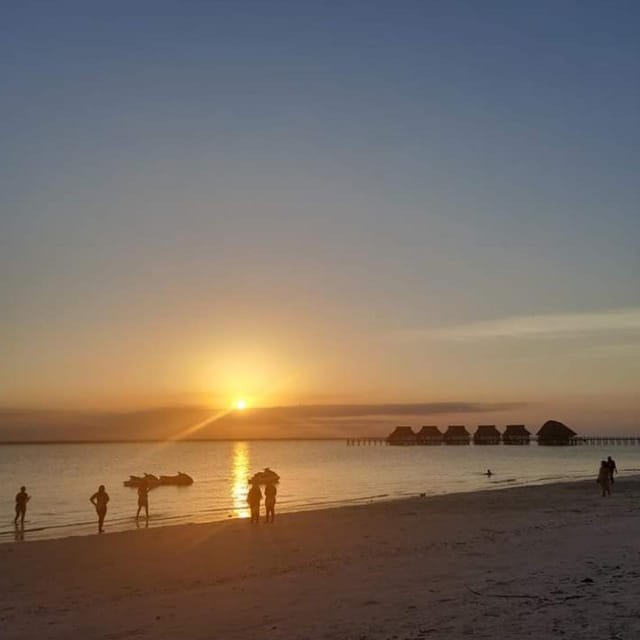 Sunset Dow Cruise at Kendwa Beach | GetYourGuide