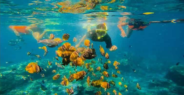 Blue Lagoon Snorkeling & Natural Salt Maker All inclusive | GetYourGuide