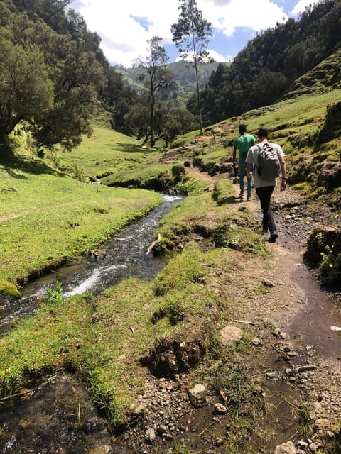From Addis Ababa: Lake Wenchi Day Trip with Boat Ride | GetYourGuide