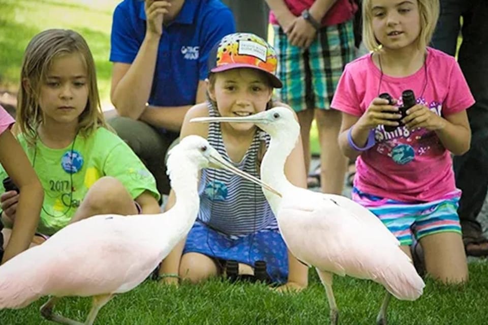 Salt Lake Family Faves Pass | GetYourGuide