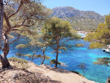 Marseille: Guided Hiking Calanques National Park from Luminy | GetYourGuide