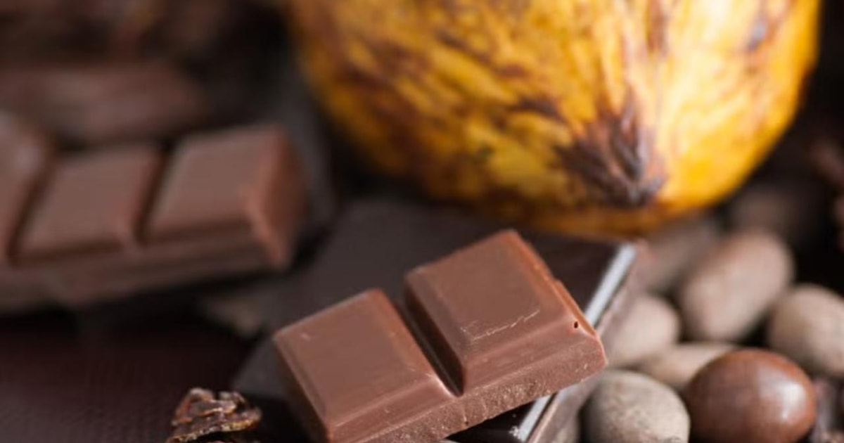 From Guatape: San Rafael Cocoa Tour | GetYourGuide