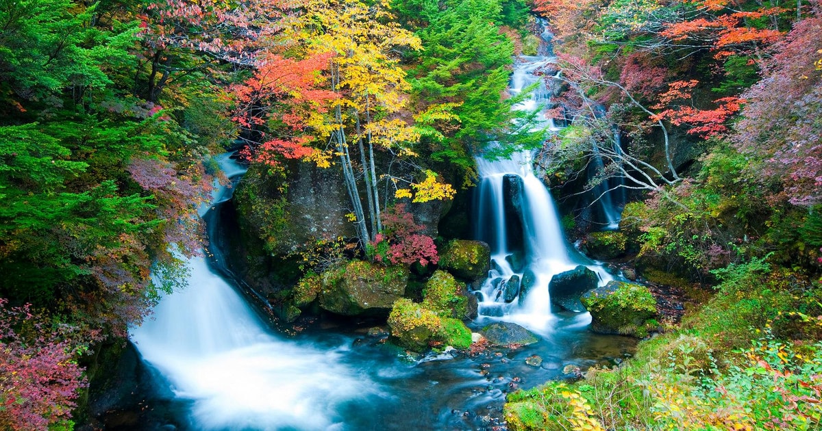 Tour privado de un día a Nikko desde Tokio: naturaleza y patrimonio ...