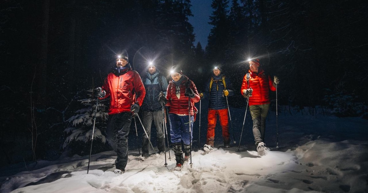 Oslo Forest: Mystery Nocturne Walk with Headlamps | GetYourGuide
