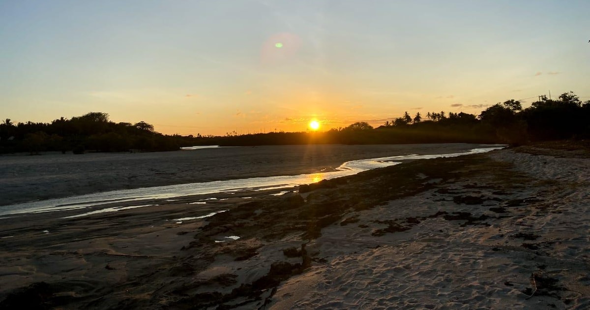 African Pool: Tiwi-Diani Beach Sunset boat ride & Reef Tour | GetYourGuide