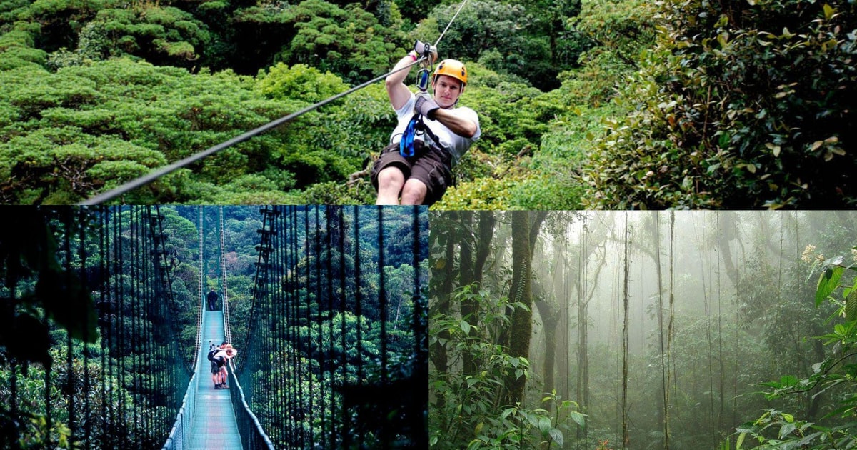 FullDay2:Hanging Bridges no guide+Cloud Forest+Canopy Tour | GetYourGuide