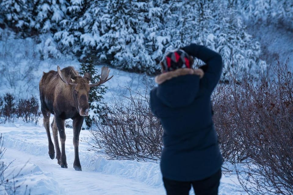 Anchorage: Recorrido fotográfico por el País de las Maravillas Invernal ...