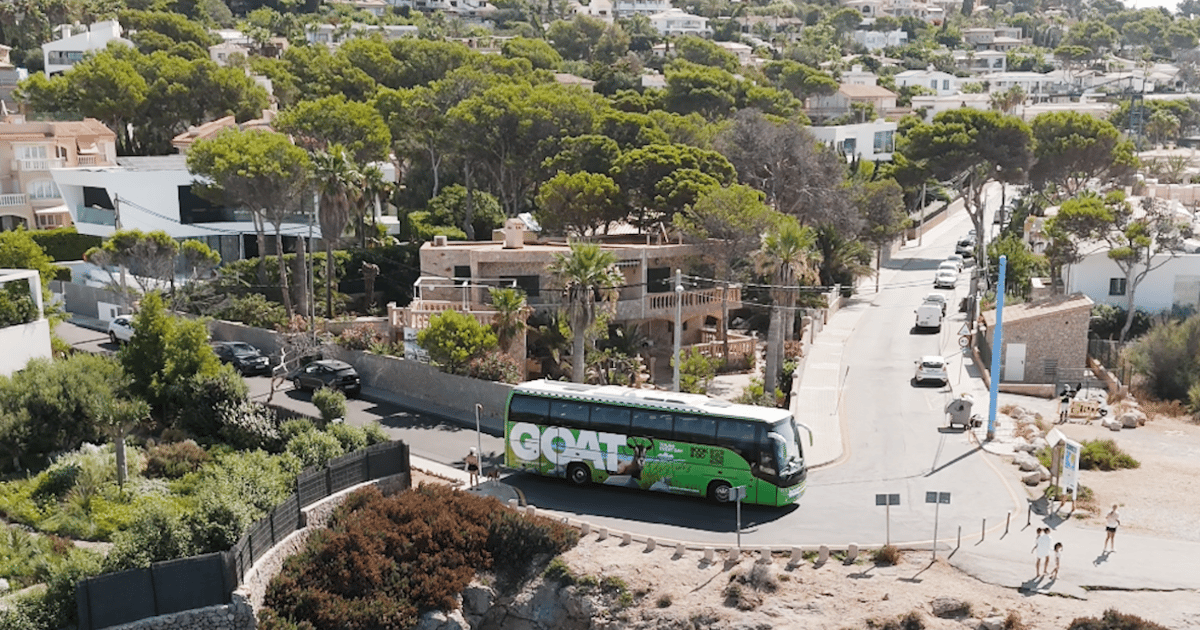 Mallorca: 3-hour bus tour around Calvià with 2 stops | GetYourGuide