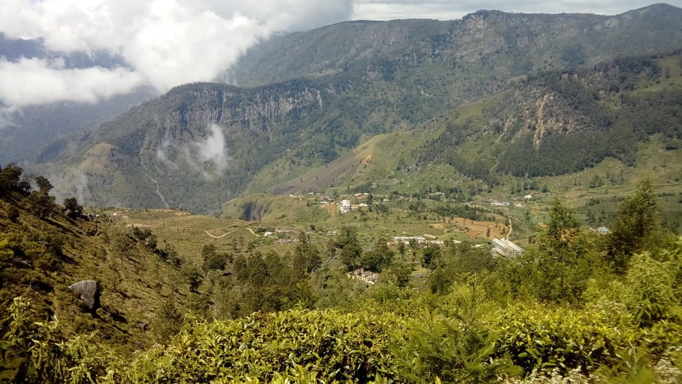 Sendero que va de Haputele a las cataratas de Bambarakanda | GetYourGuide